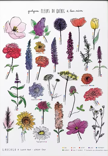 Affiche - Fleurs du Québec - Laucolo | Atelier-boutique Femme Mécanique ...